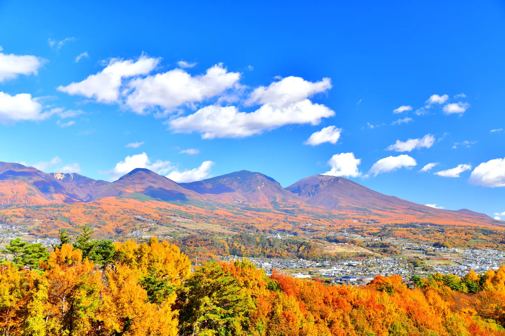 The best Onsen 2026 | ONSENISTA - Specialized media for Japanese Onsen(hot springs)